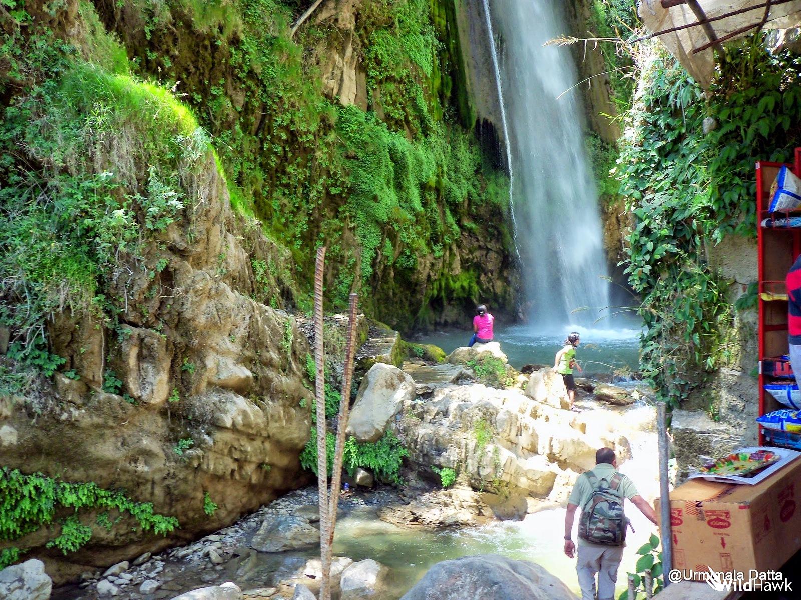 Tiger Fall, Chakrata - WildHawk