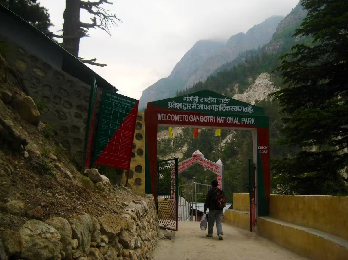 Gangotri National Park to Open on April 1 - WildHawk
